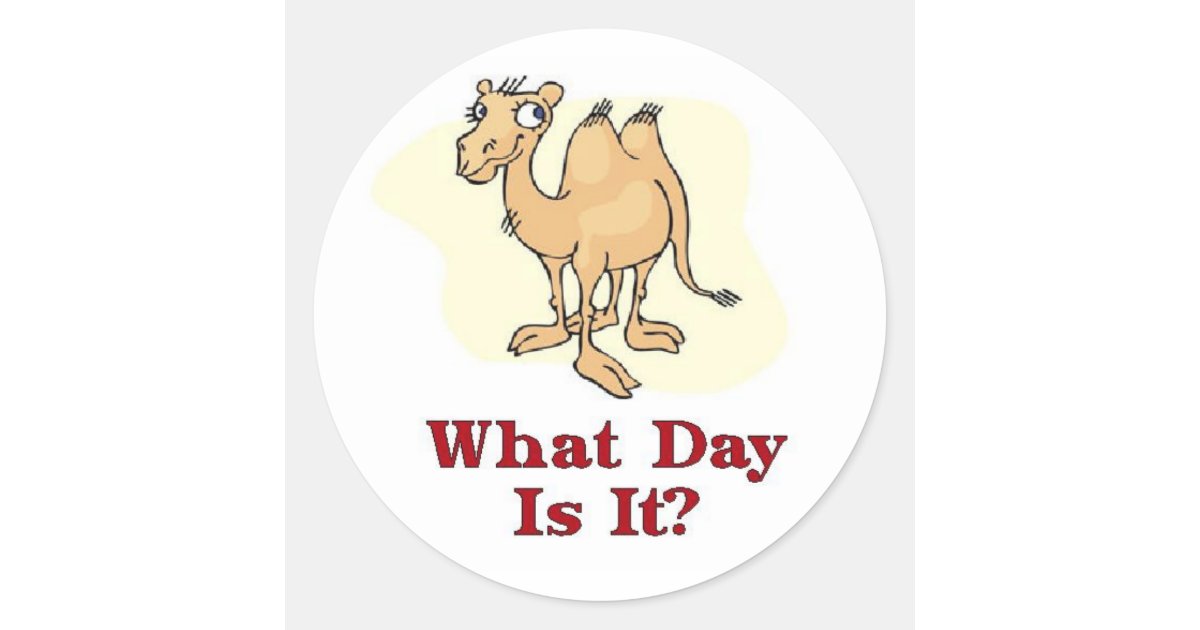 Wednesday Hump Day Classic Round Sticker | Zazzle