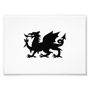 Welsh Dragon Posters & Prints | Zazzle UK