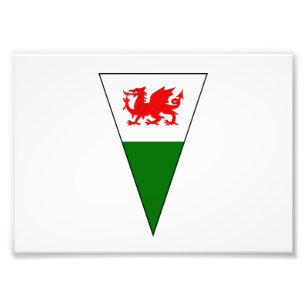 Welsh Dragon Posters & Prints | Zazzle UK