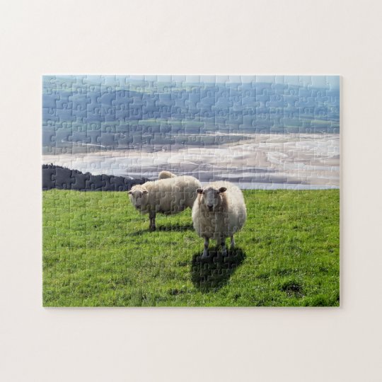 WELSH MOUNTAIN SHEEP JIGSAW PUZZLE | Zazzle.co.uk