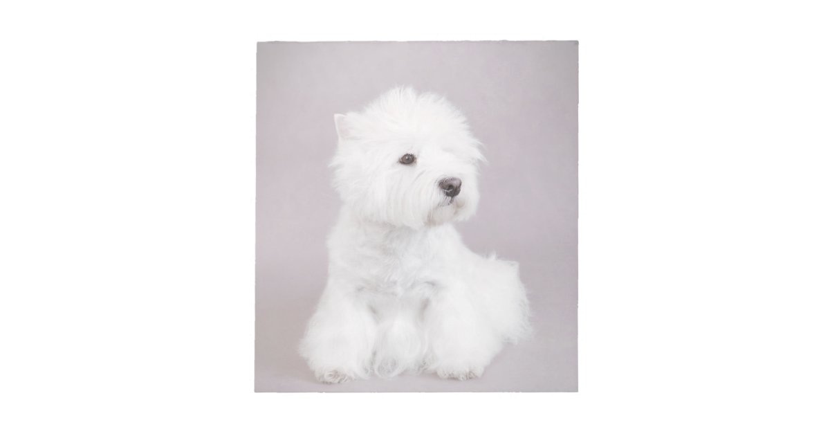 Westie Notepad | Zazzle