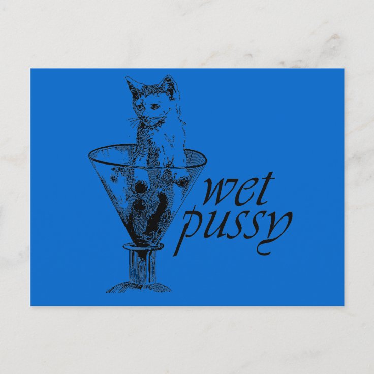 Wet Kitty Postcard | Zazzle