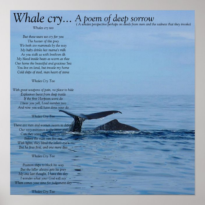 Whale cry..., A poem of deep sorrow... Poster | Zazzle.co.uk