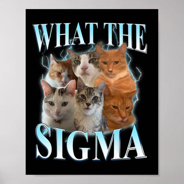 What The Sigma Funny Meme Cat For Men Women Cat Lo Poster | Zazzle