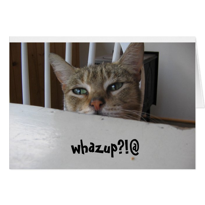 whazup puzzy cat?! | Zazzle.co.uk