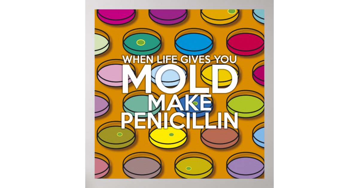 WHEN LIFE GIVES YOU MOLD MAKE PENICILLIN POSTER | Zazzle.co.uk