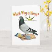 Which Way is Home? Pigeon Art Card | Zazzle