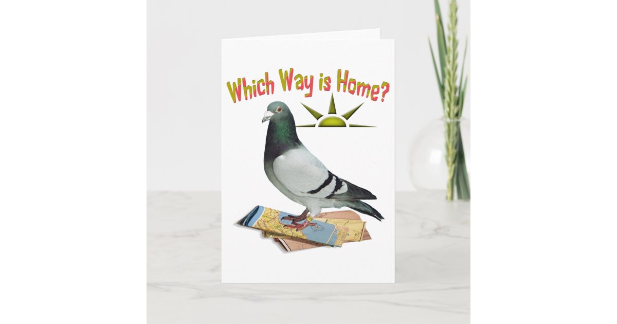 Which Way is Home? Pigeon Art Card | Zazzle