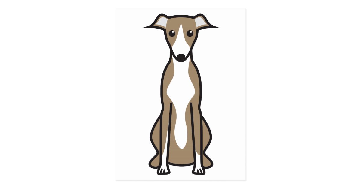 Whippet Dog Cartoon Postcard | Zazzle.co.uk