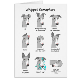 Whippet Cards & Invitations | Zazzle.co.uk