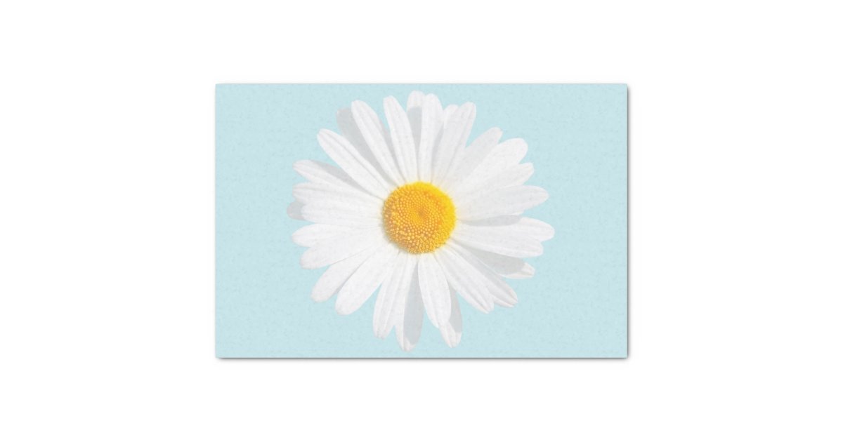 white daisy tissue paper | Zazzle