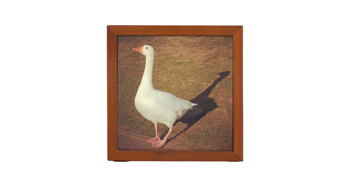 White Goose Desk Organiser | Zazzle