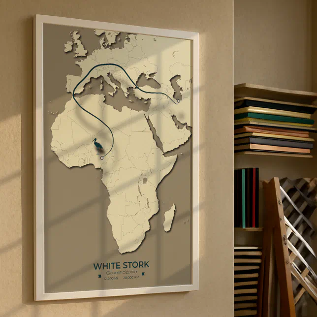 White Stork Migration Map – Minimalist Vintage Poster | Zazzle