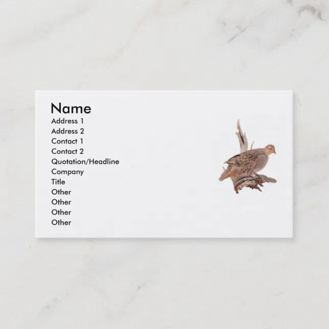 wild bird business card | Zazzle