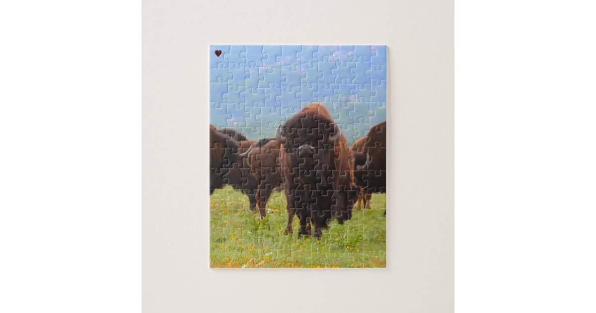 Wild Bison Oklahoma Jigsaw Puzzle | Zazzle