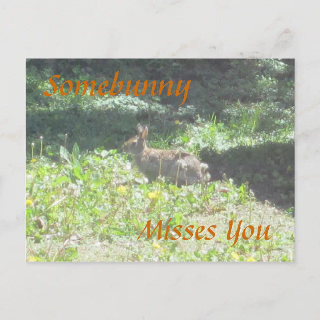 Wild Bunny "Somebunny Misses You" Postcard | Zazzle