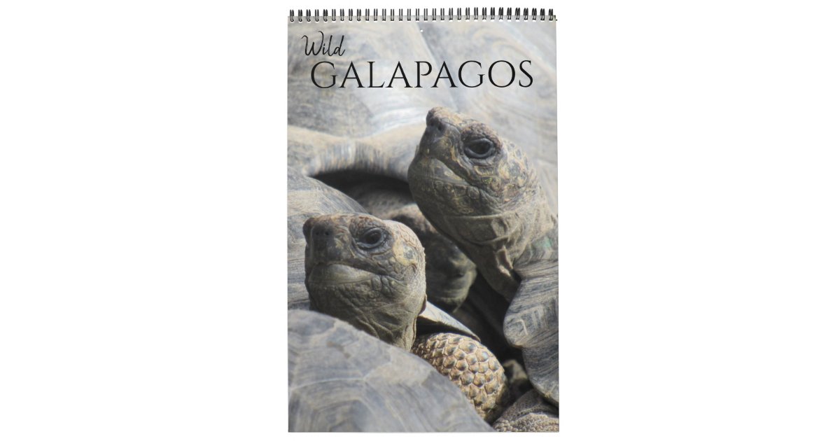 wild galapagos 2026 calendar | Zazzle