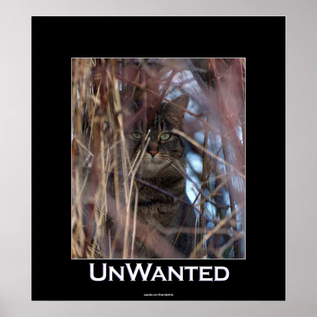 Wild Tabby Cat Demotivational Animal Poster | Zazzle