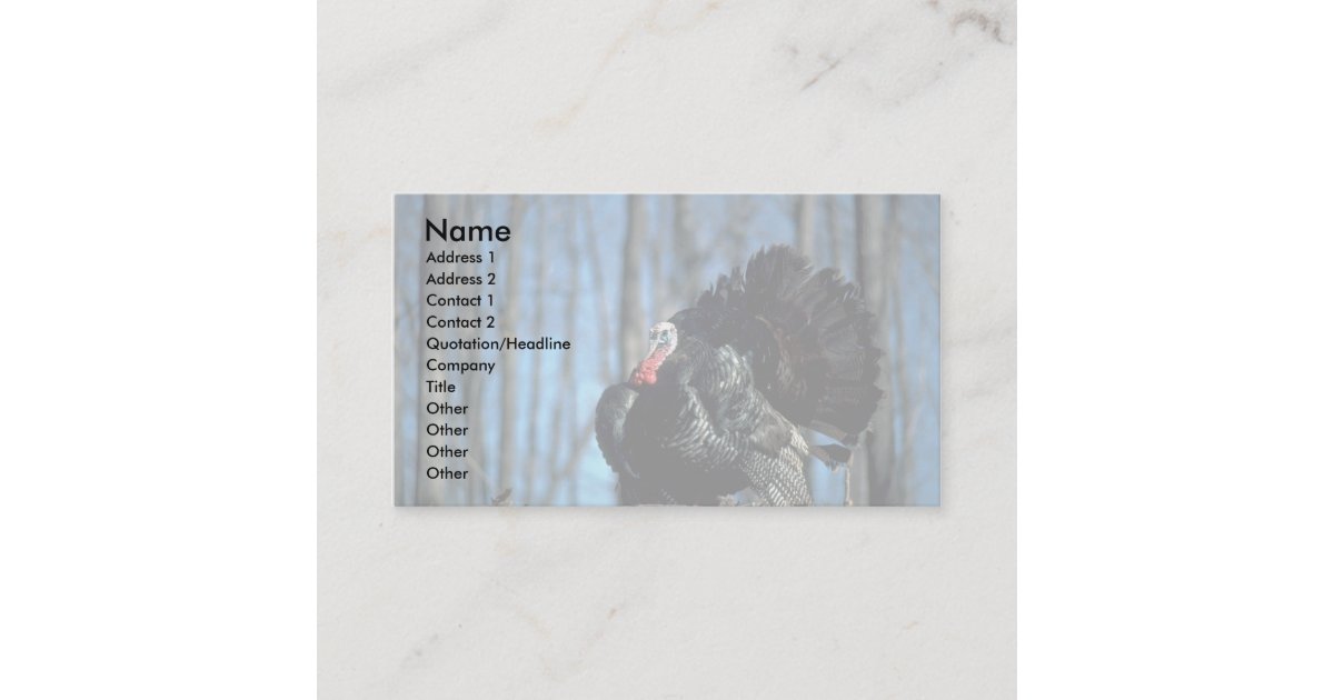 Wild turkey business card | Zazzle