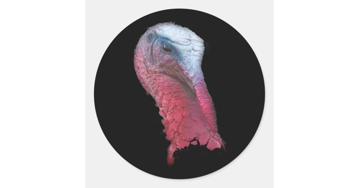 Wild Turkey Head Classic Round Sticker | Zazzle