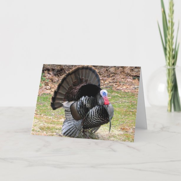 Turkey Cards | Zazzle UK