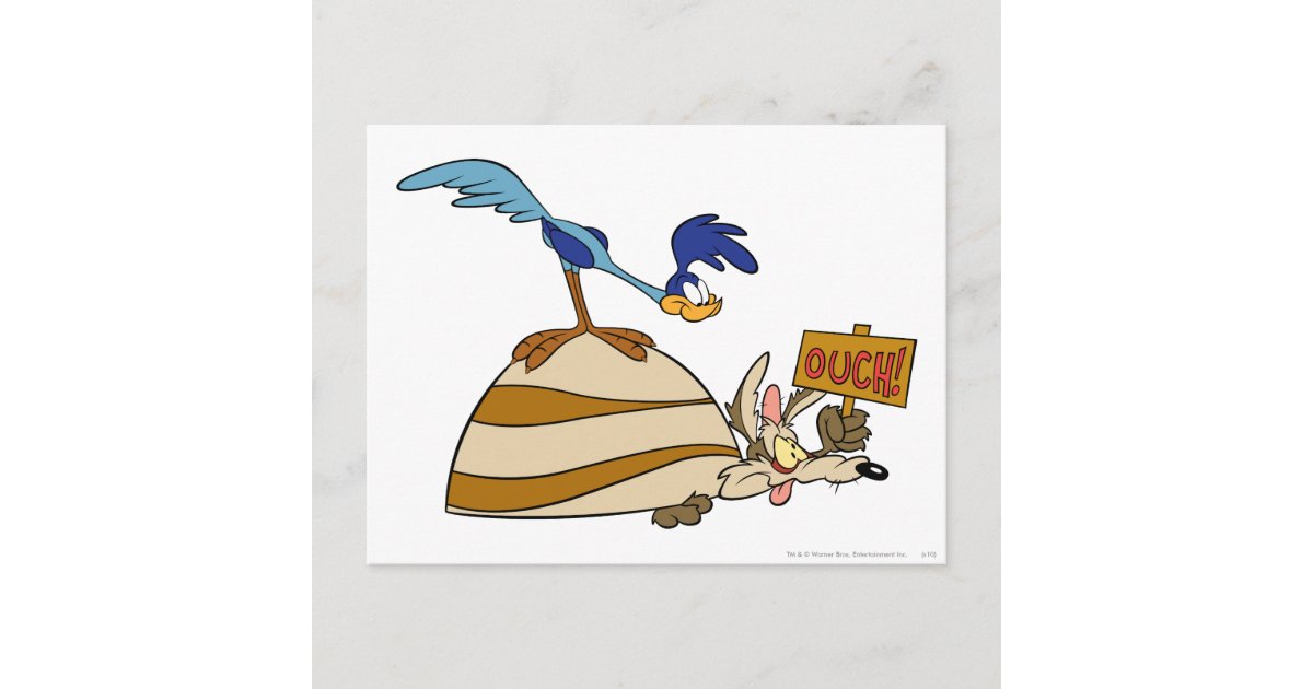WILE E. COYOTE™ and ROAD RUNNER™ Boulder Postcard | Zazzle