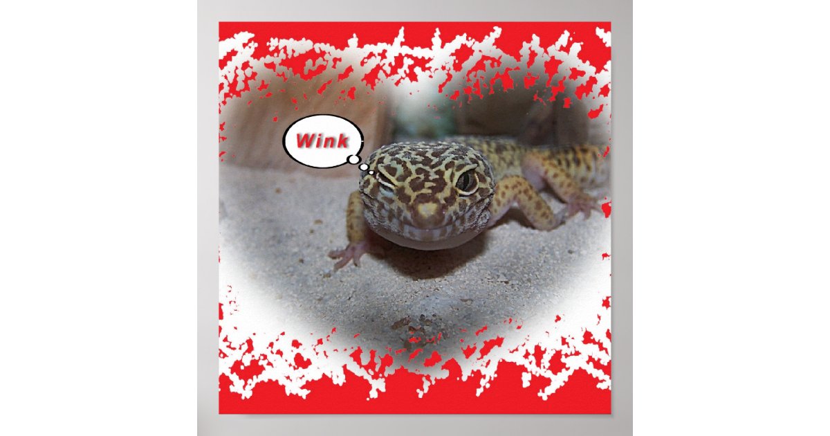 Winking Leopard Gecko Lizard Poster | Zazzle