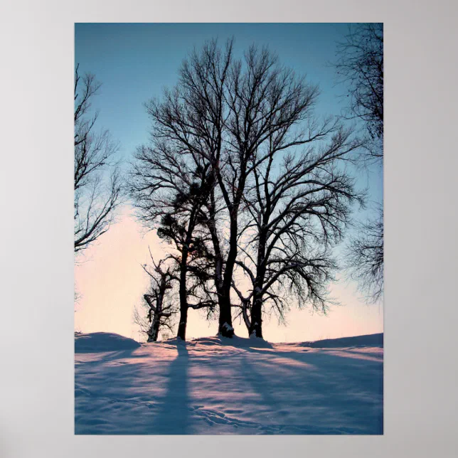Winter trees on twilight blue sky background poster | Zazzle
