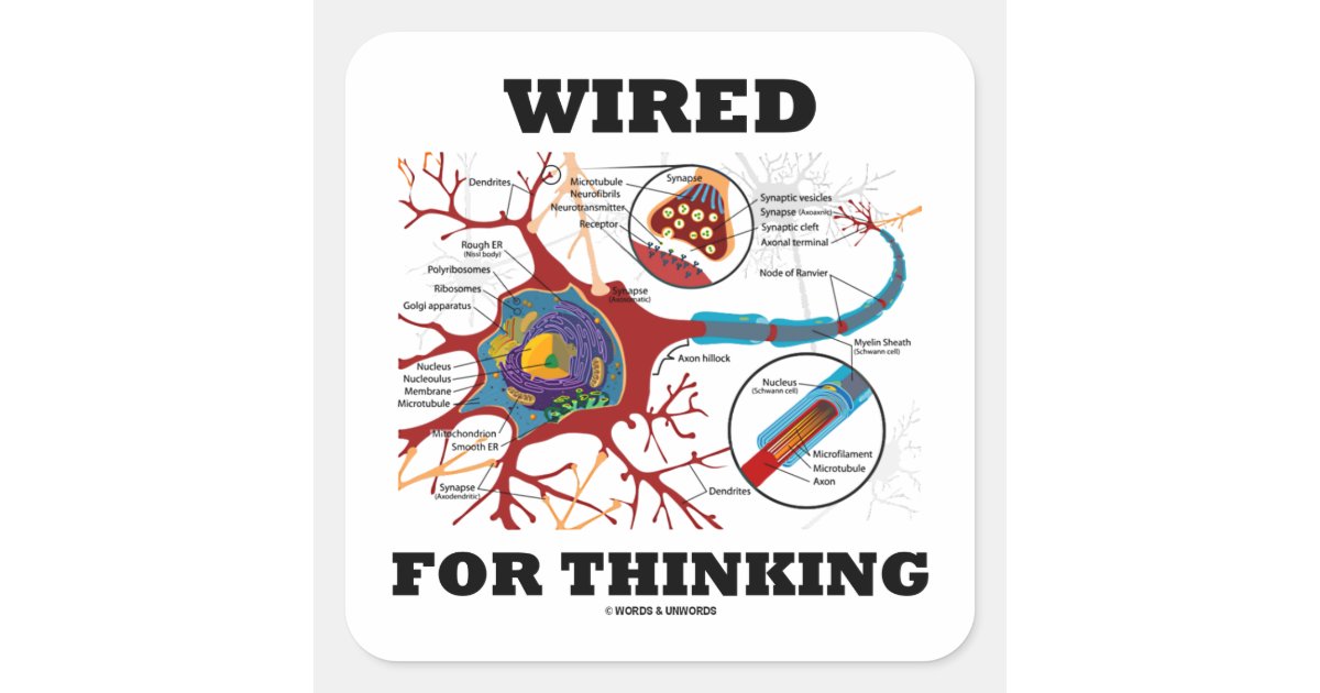 Wired For Thinking (Neuron Synapse) Square Sticker | Zazzle