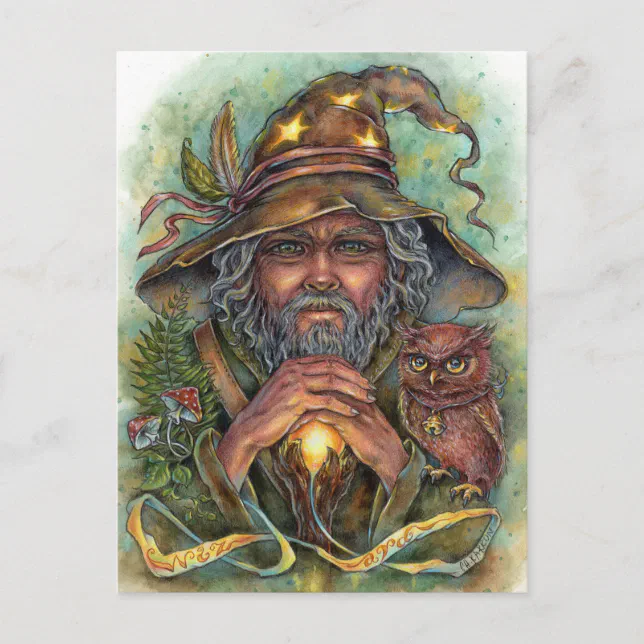 Wizard Postcard Forest Fantasy Magical Owl | Zazzle