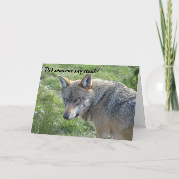 Wolf birthday card | Zazzle