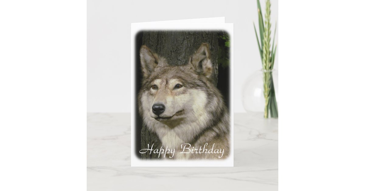 Wolf Card | Zazzle.co.uk