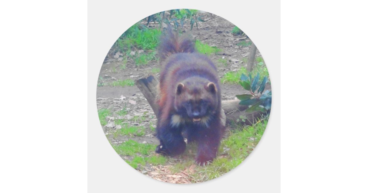 Wolverine #1 Stickers | Zazzle