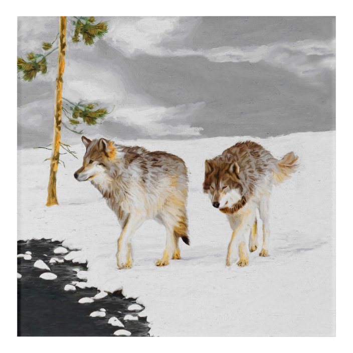 Wolves in Snow Painting - Original Wildlife Art | Zazzle.co.uk