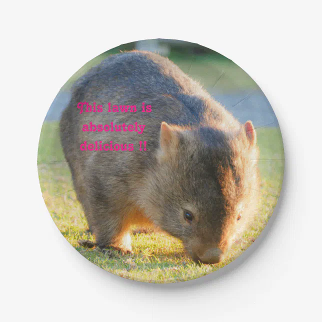 Wombat Funny Cute Australian Nature Photography Paper Plate | Zazzle