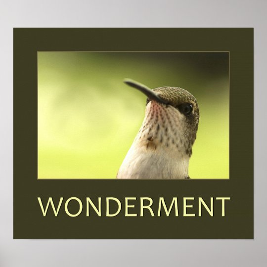 Wonderment Poster | Zazzle.co.uk