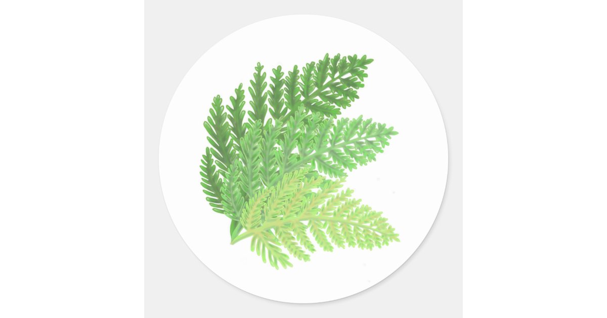 Woodland forest green ferns forest ferns leaves classic round sticker ...