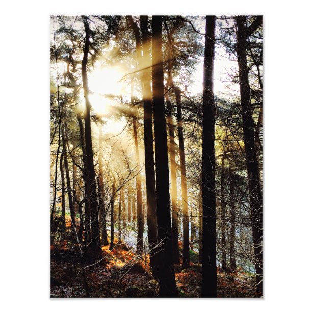 Sunrise Posters & Prints | Zazzle UK