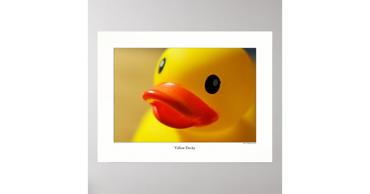 Yellow Ducky Poster | Zazzle