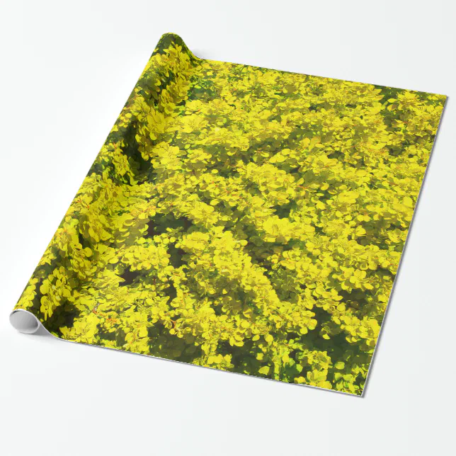 Yellow Flowering Shrubs Golden Template Woadwaxen Wrapping Paper | Zazzle