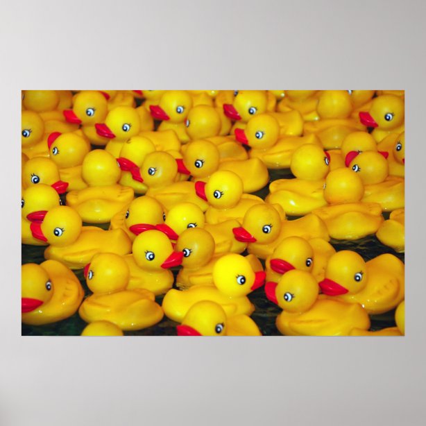 Rubber Duck Art & Wall Décor | Zazzle.co.uk