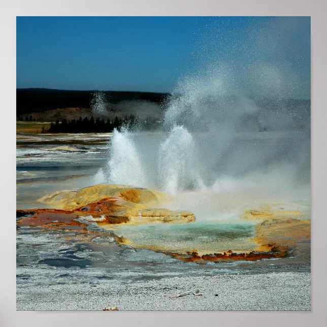 Yellowstone Geyser Poster | Zazzle