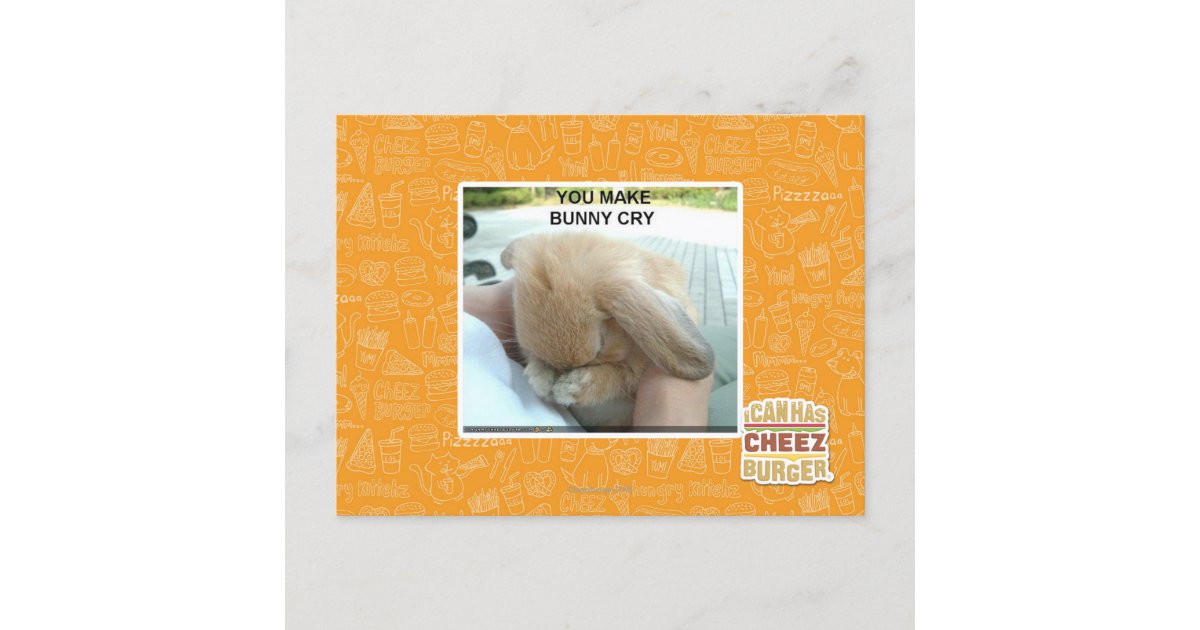 You make bunny cry postcard | Zazzle