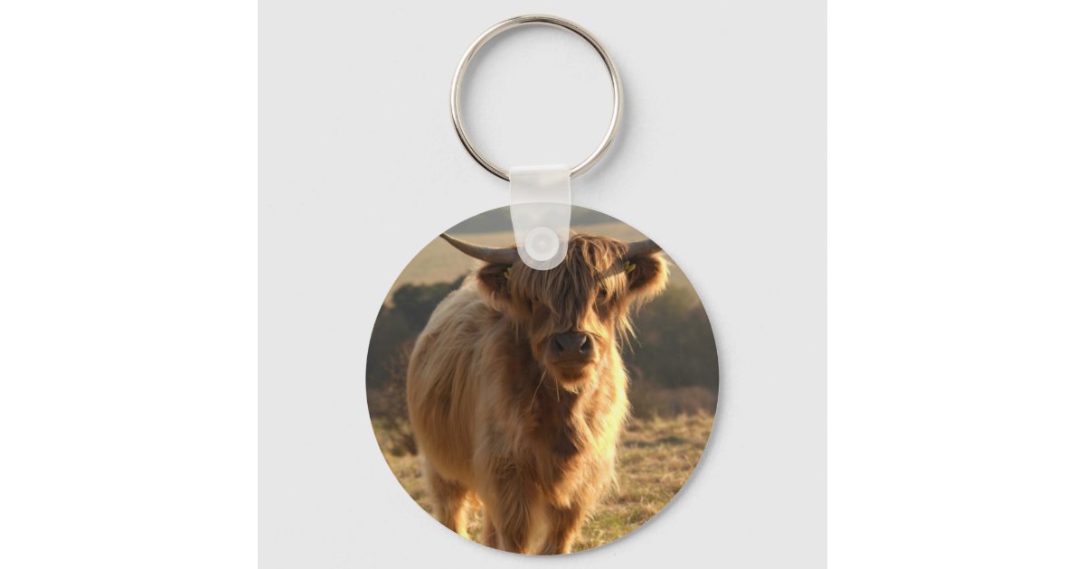 Young Highland Cow Key Ring | Zazzle