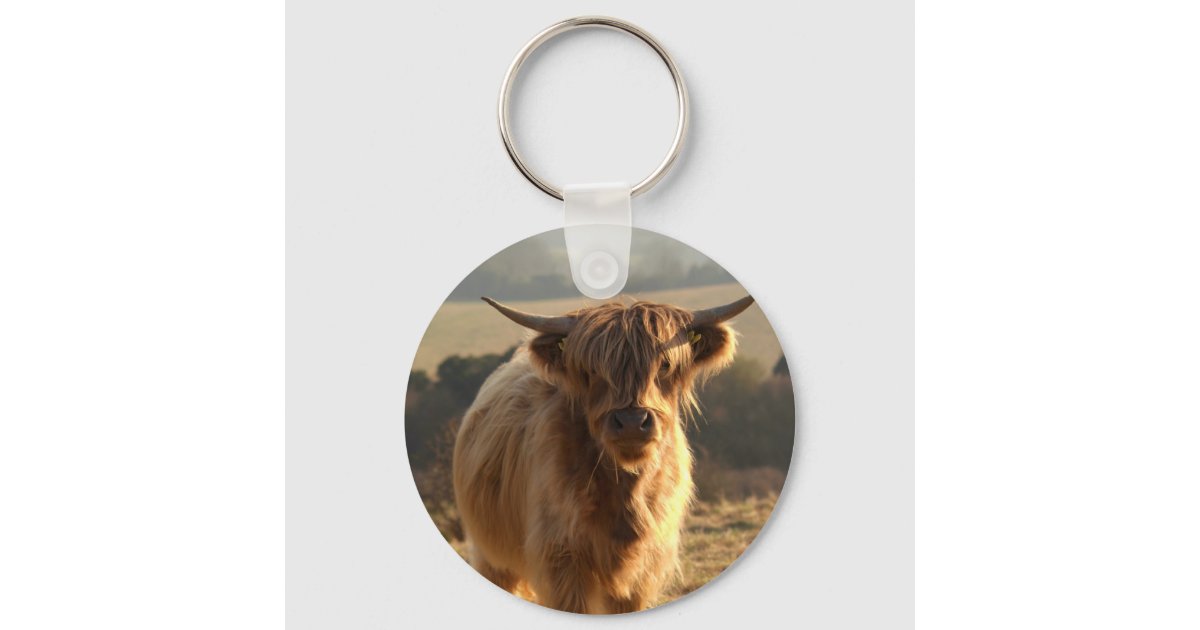 Young Highland Cow Key Ring | Zazzle