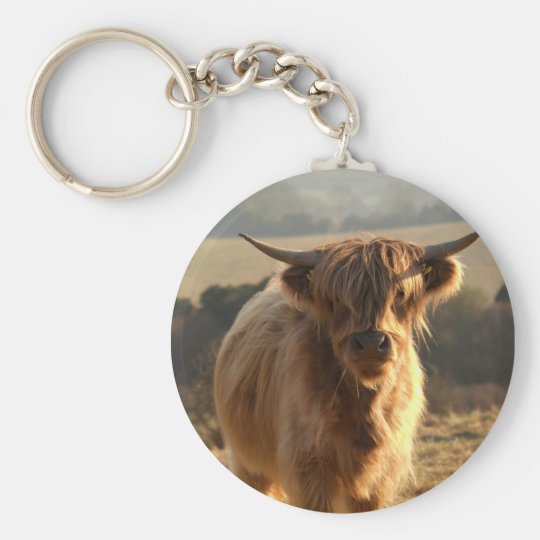 Young Highland Cow Key Ring | Zazzle.co.uk
