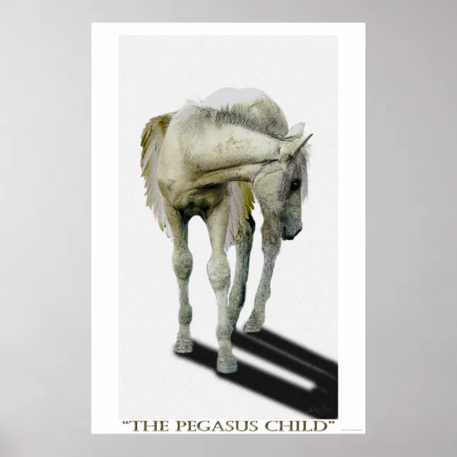 Young White Pegasus Colt Fantasy Art Poster | Zazzle