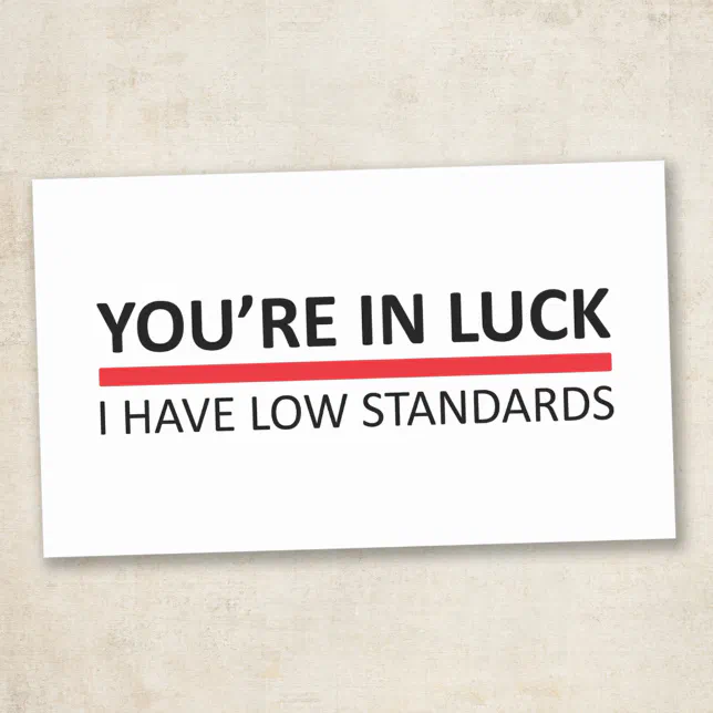 You're In Luck - I Have Low Standards Rectangular Sticker | Zazzle