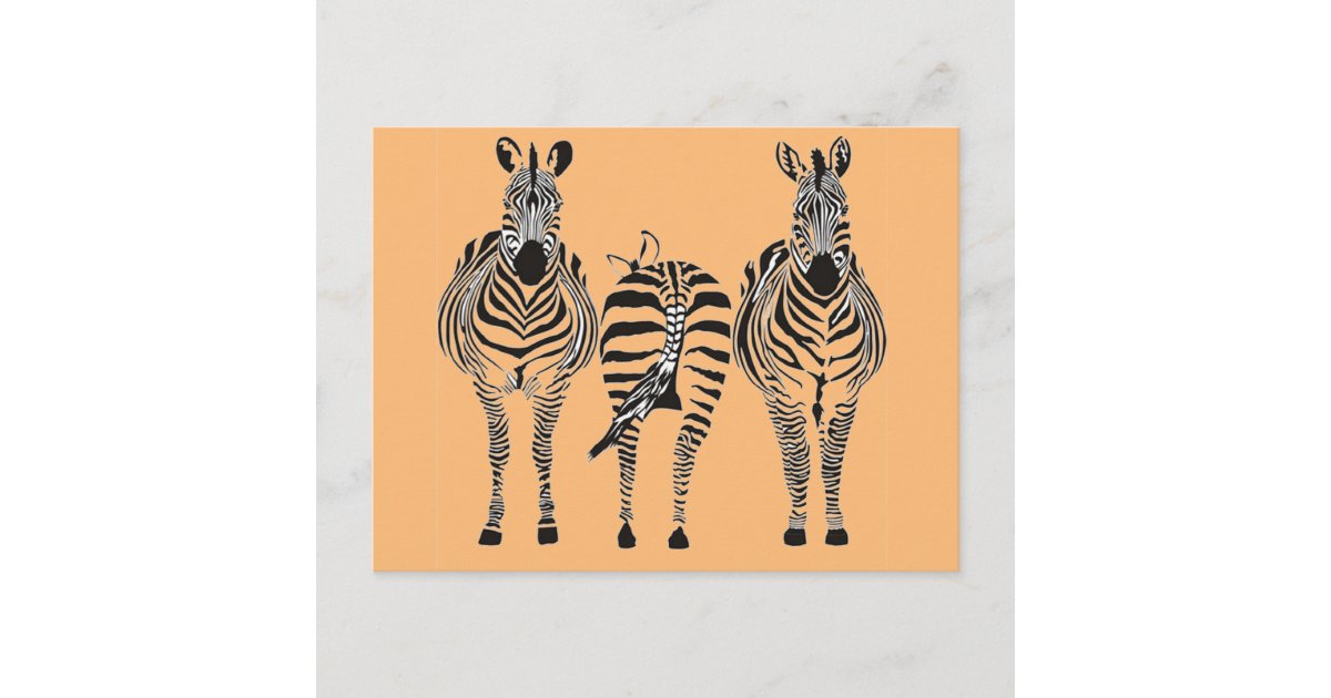 ZEBRA HUMOR POSTCARD | Zazzle