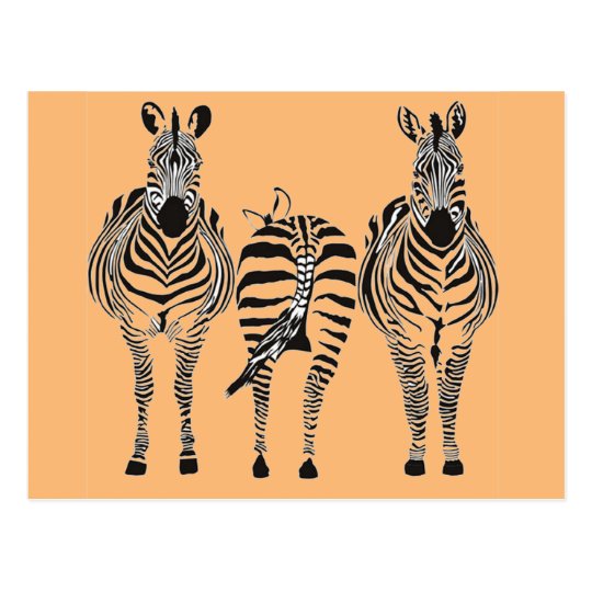 ZEBRA HUMOR POSTCARD | Zazzle.co.uk